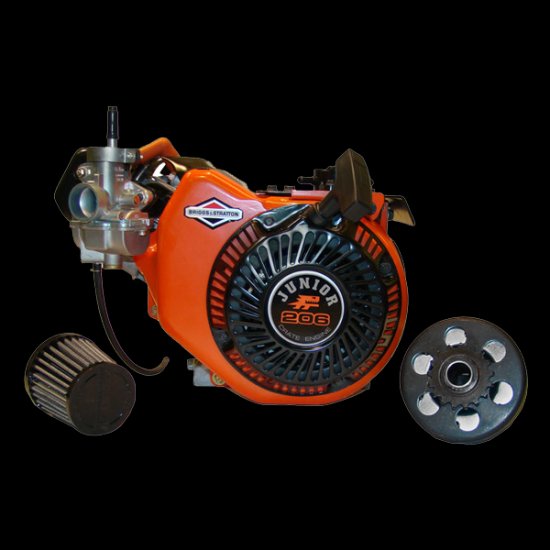 Briggs and Stratton Local Option Jr. LO206 Engine | Briggs and Stratton ...